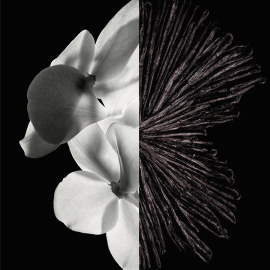 Givenchy Fragrance – Edgars