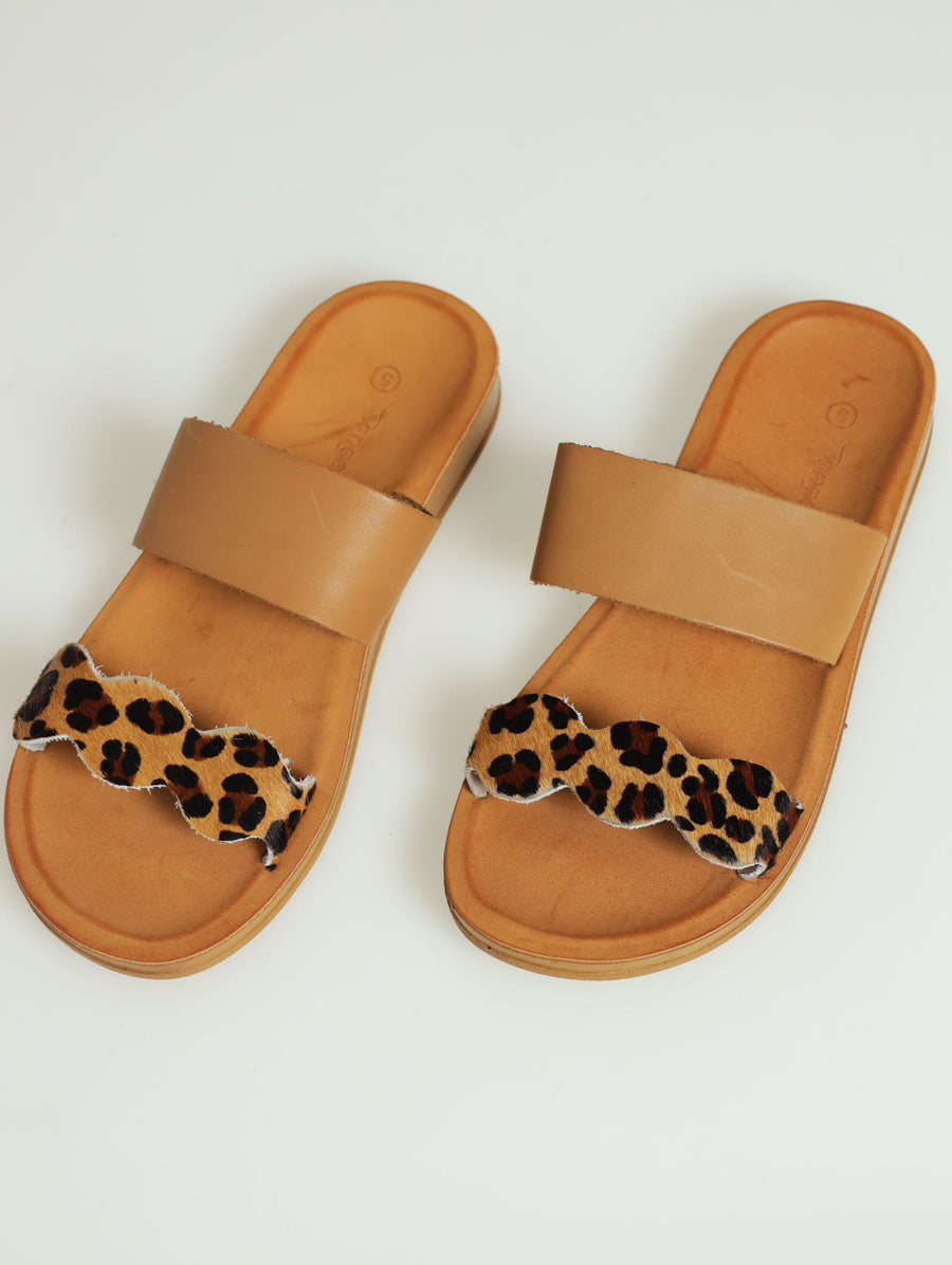 Angelsoft – Edgars