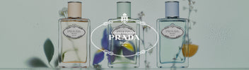 Prada – Edgars